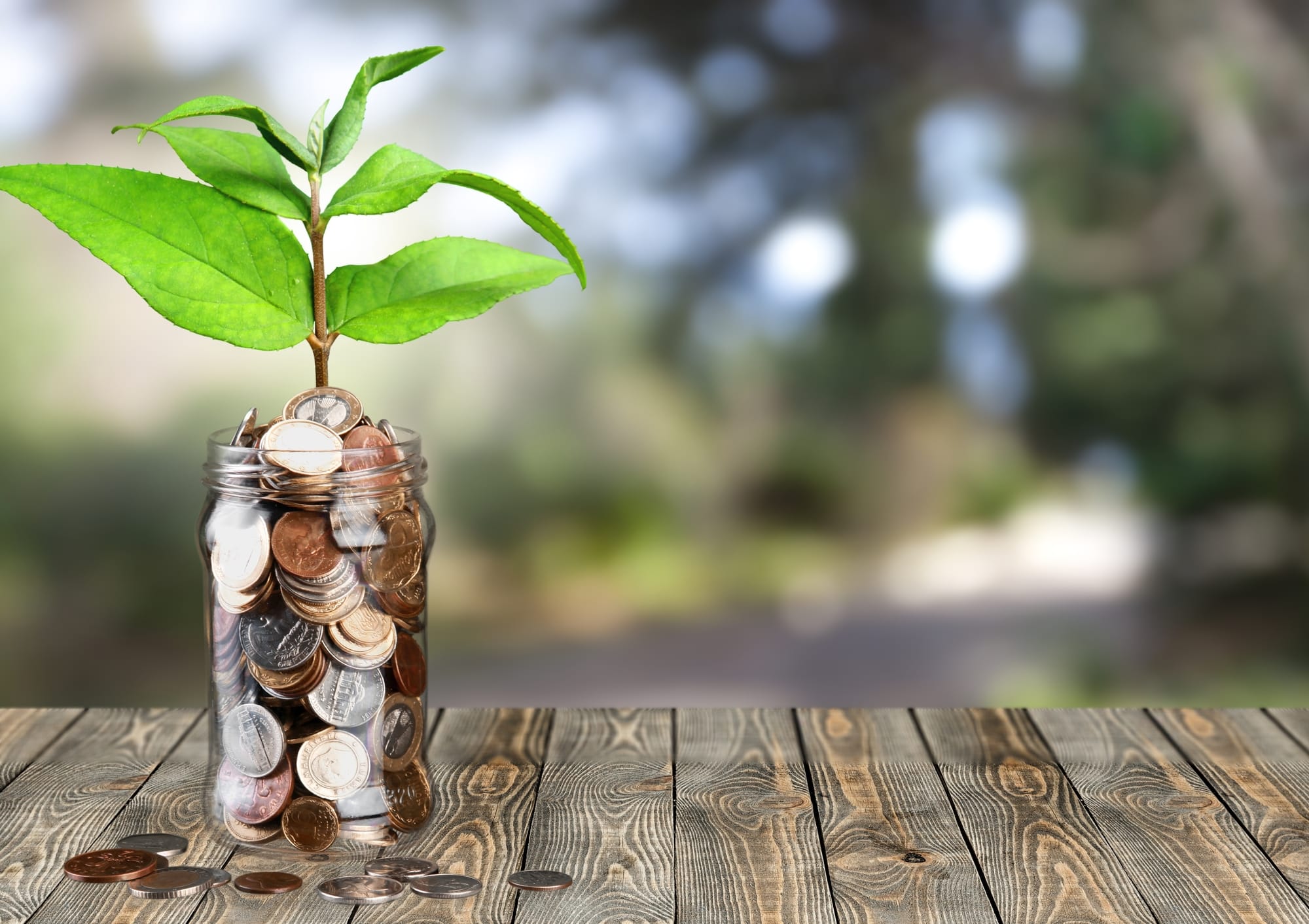 The Slow Burn of Carbon Offsets and Credits - Traders Magazine